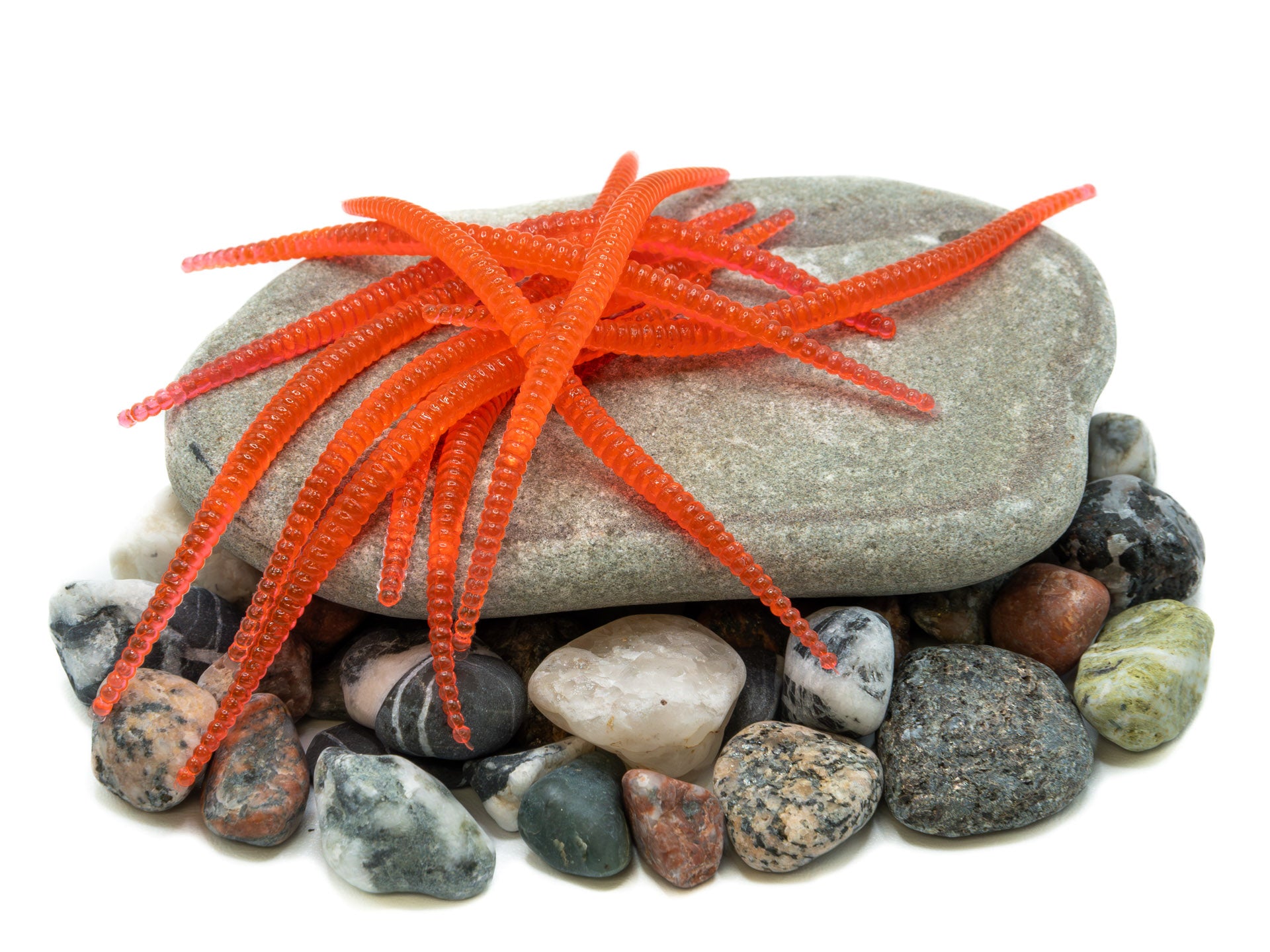 Worms/Bugs — Death Roe Soft Beads